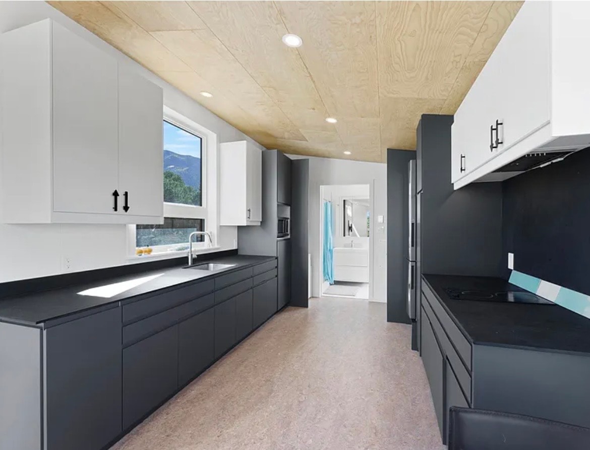 Tiny House for Sale - Two custom built tiny homes on just